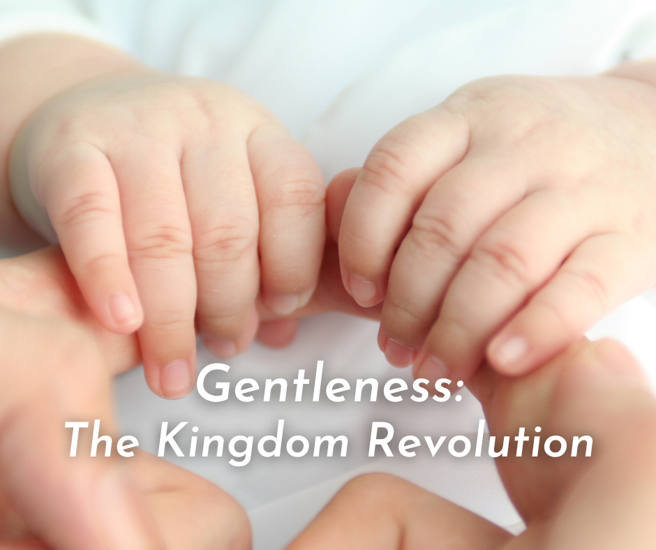 Gentleness: The Kingdom Revolution – The Kingdom Outpost